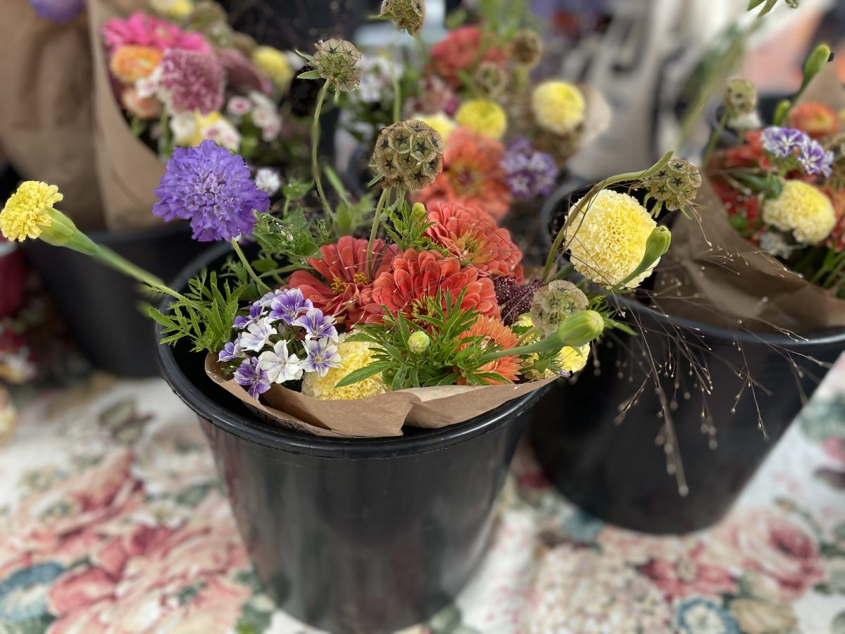 The Salem Inn Bed and Breakfast, Salem, MA Invites You to Explore the ...